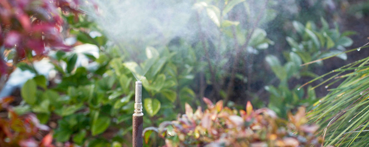 Choosing the Right Mosquito Misting System Nozzles: A Comprehensive Gu ...